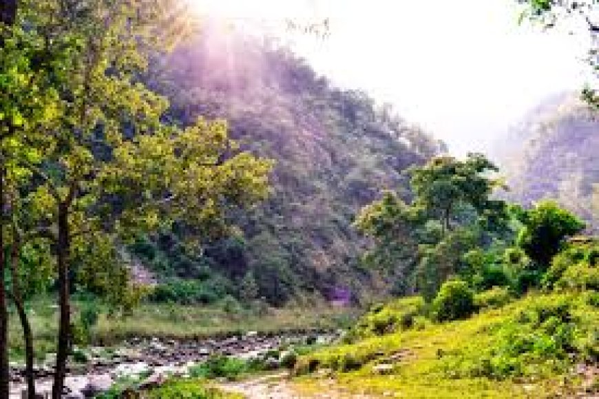 Discover Hetauda Municipality: Nepal’s Gateway to Beauty - Nepal Database